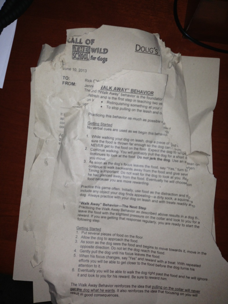 Canine Shredder – JONATHAN TURLEY