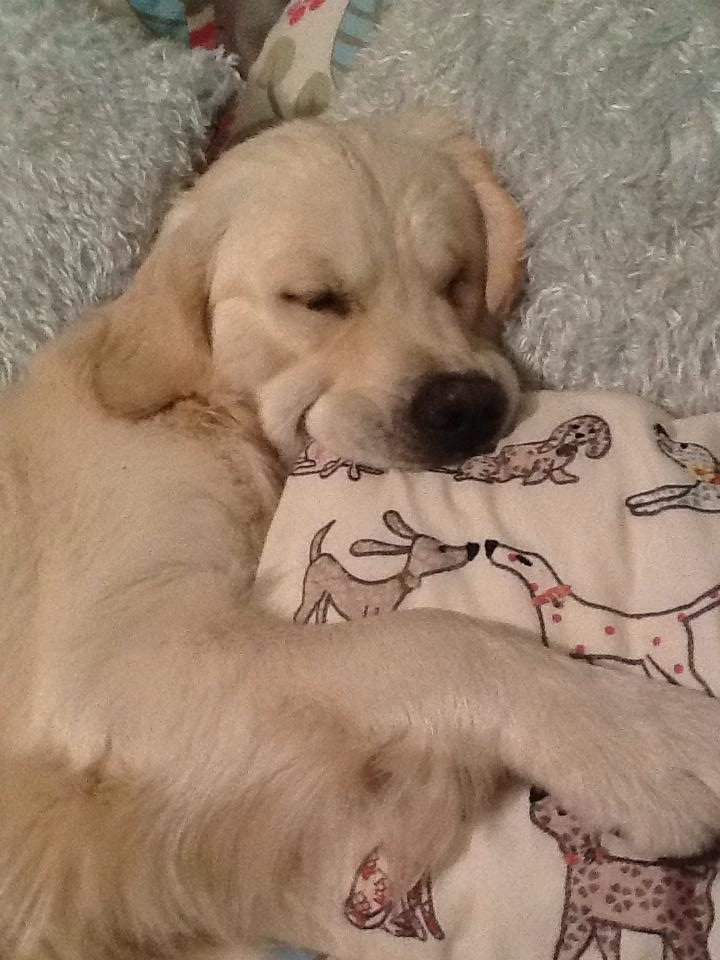 Lethally Cute – JONATHAN TURLEY