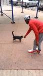Brooklyn Man Arrested After Posting Of Cat Kicking Incident – JONATHAN ...