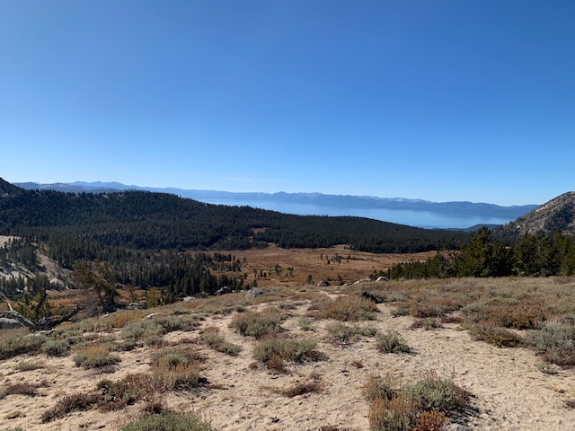 The Beauty of Mount Rose – JONATHAN TURLEY