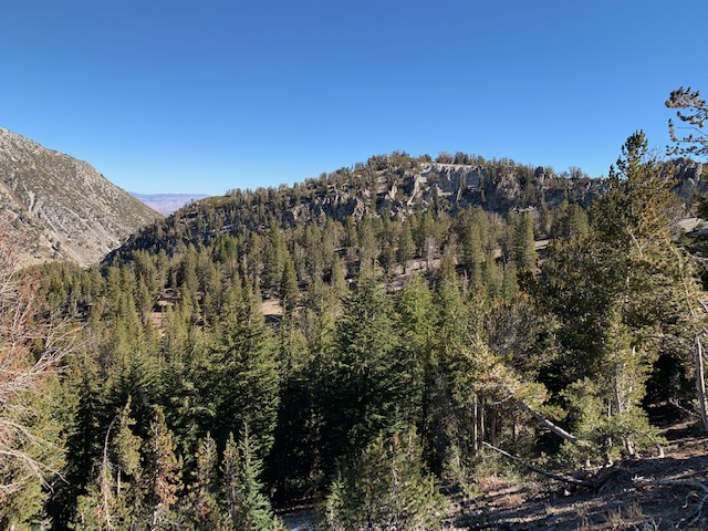 The Beauty of Mount Rose – JONATHAN TURLEY