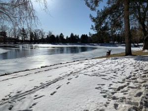 Colorado Springs in All Its Winter Glory – JONATHAN TURLEY