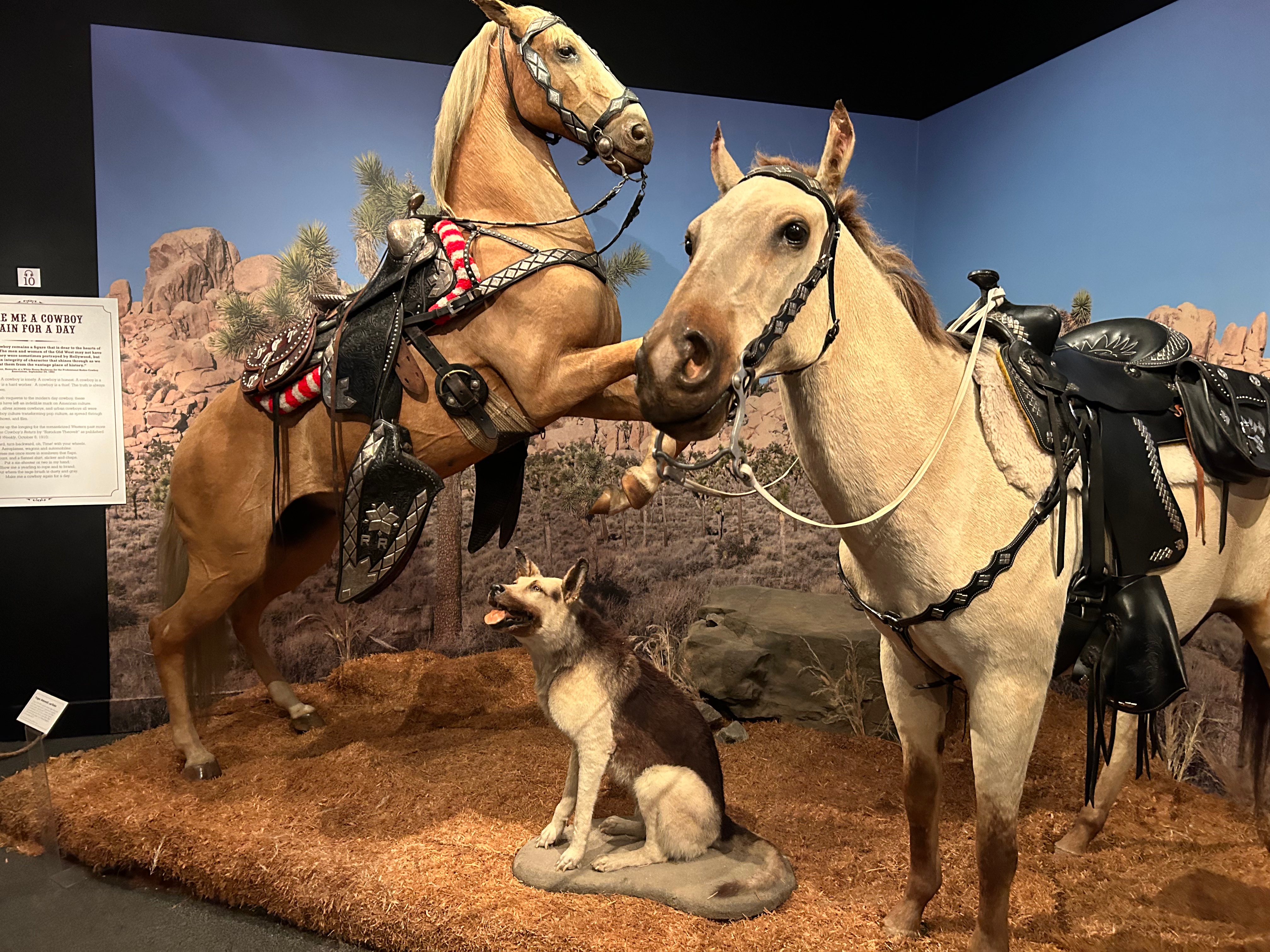 A Visit With The Gipper: My Trip to the Reagan Presidential Library ...